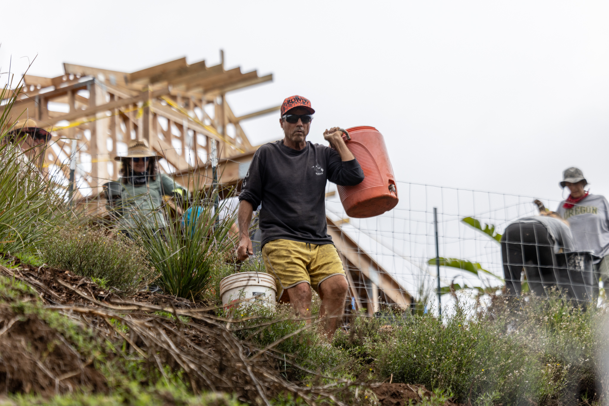 Groups in Kula continue work to reduce wildfire risk | News, Sports ...
